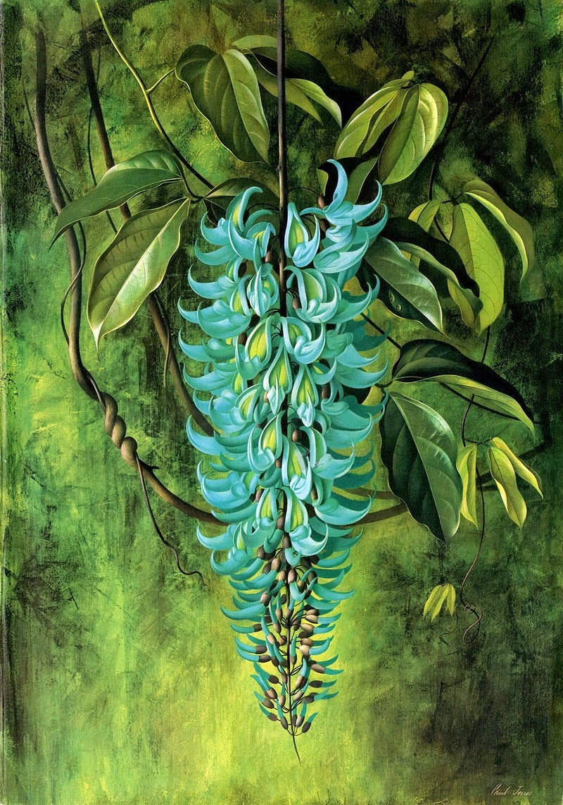 Il mondo di Mary Antony: Paul Jones- Flowers