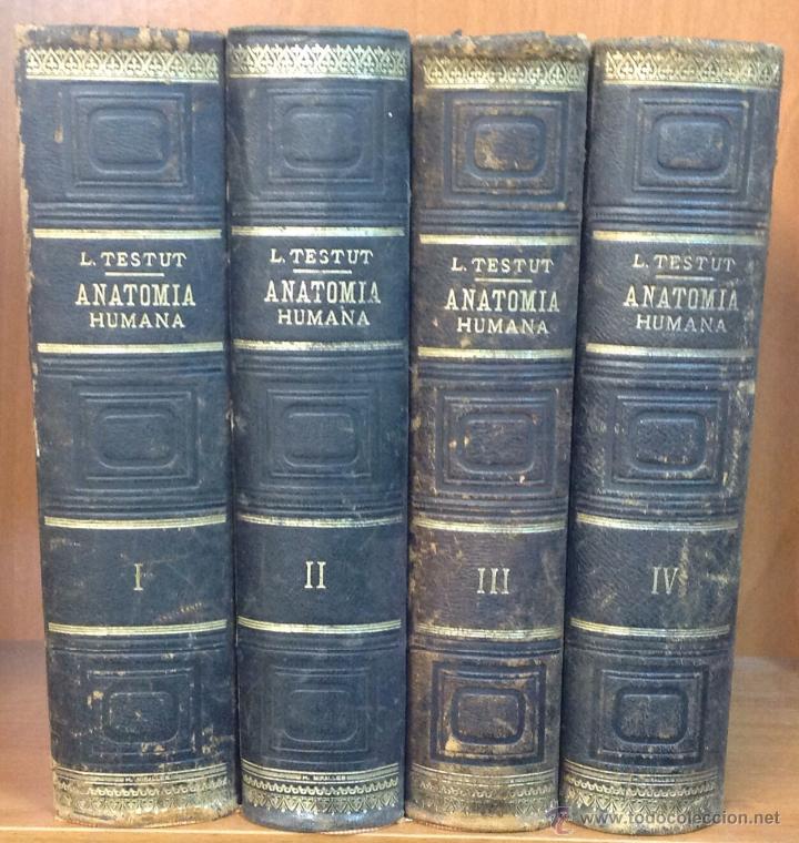 El Rincón de Galeno : Leo Testut: Vida y obra del mas grande anatomista.