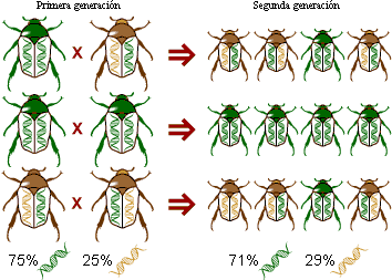 Mecanismos de la Micro Evolución: Mecanismos de la Microevolución