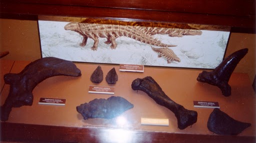 A Mesozoic Mosaic: Nodosaur and possibly Rhabdodon finds in Quarry ...