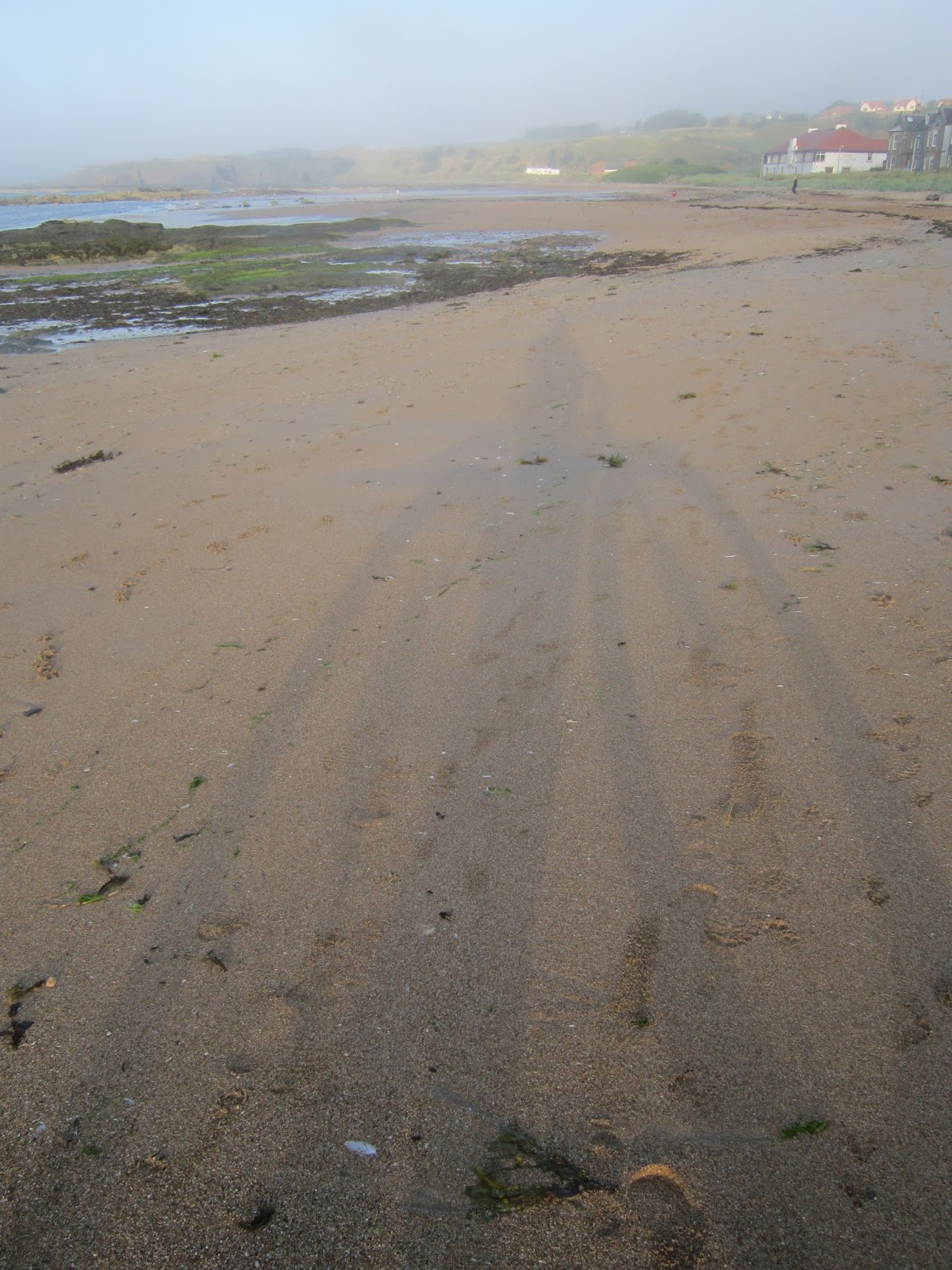 coastrider: Return of the Sea Haar