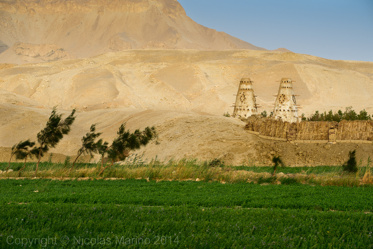Lonely traveler: Sahara...