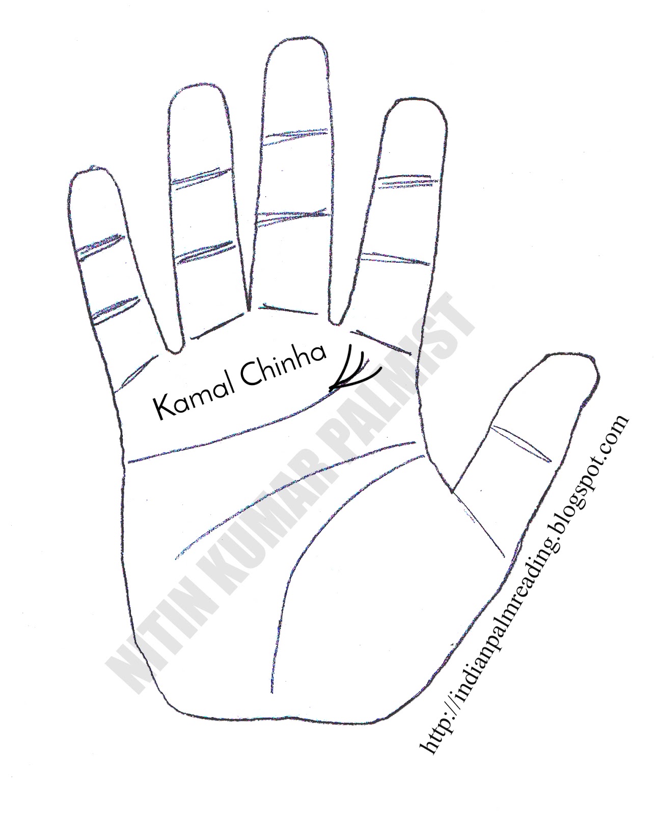 हाथ में 32 हिन्दू चिन्ह हस्त रेखा | हस्त विचार लक्षण बत्तीसी | 32 Hindu ...