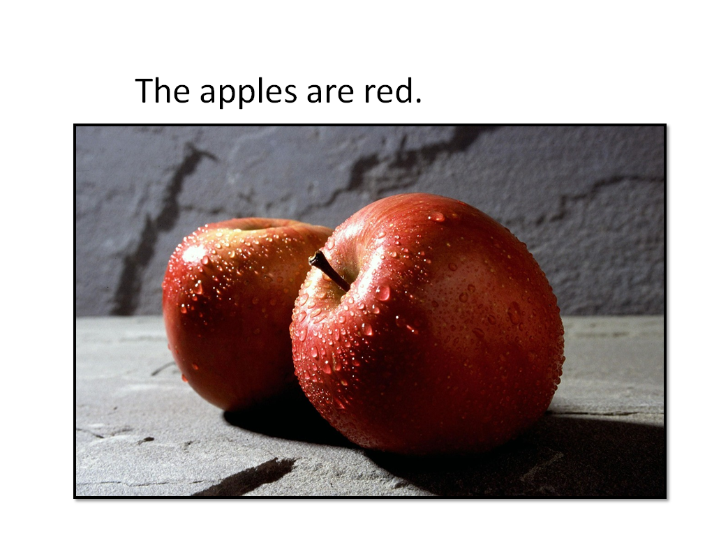 Chapel Hill Snippets: "What is Red?" free printable interactive book