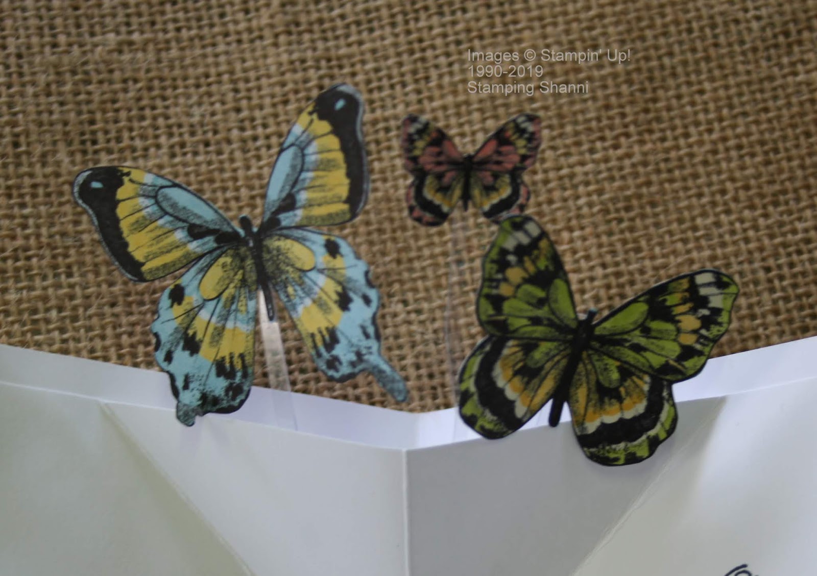 Stamping Shanni: Fancy Folds - V Fold Cards