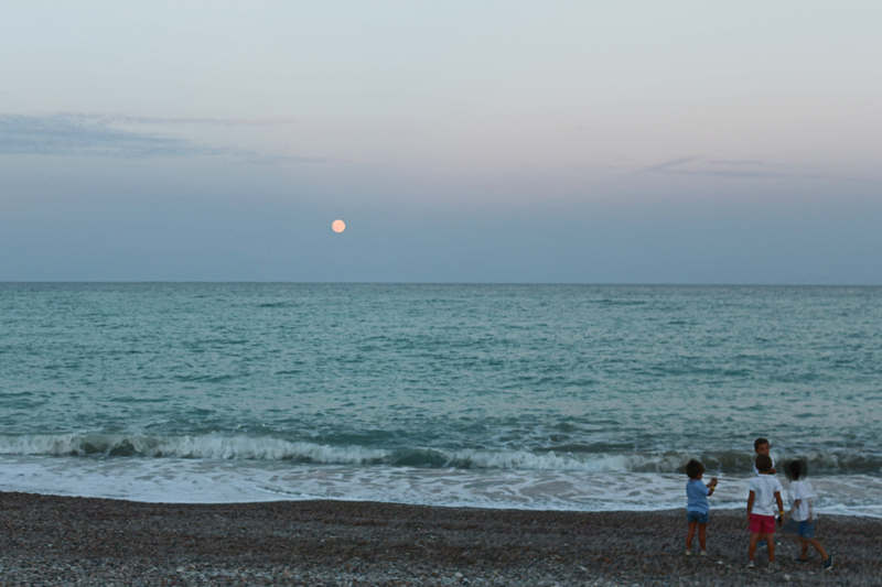 EL CAU DE CALPURNI: [MATÍ D'INICIS DE CALMA...]