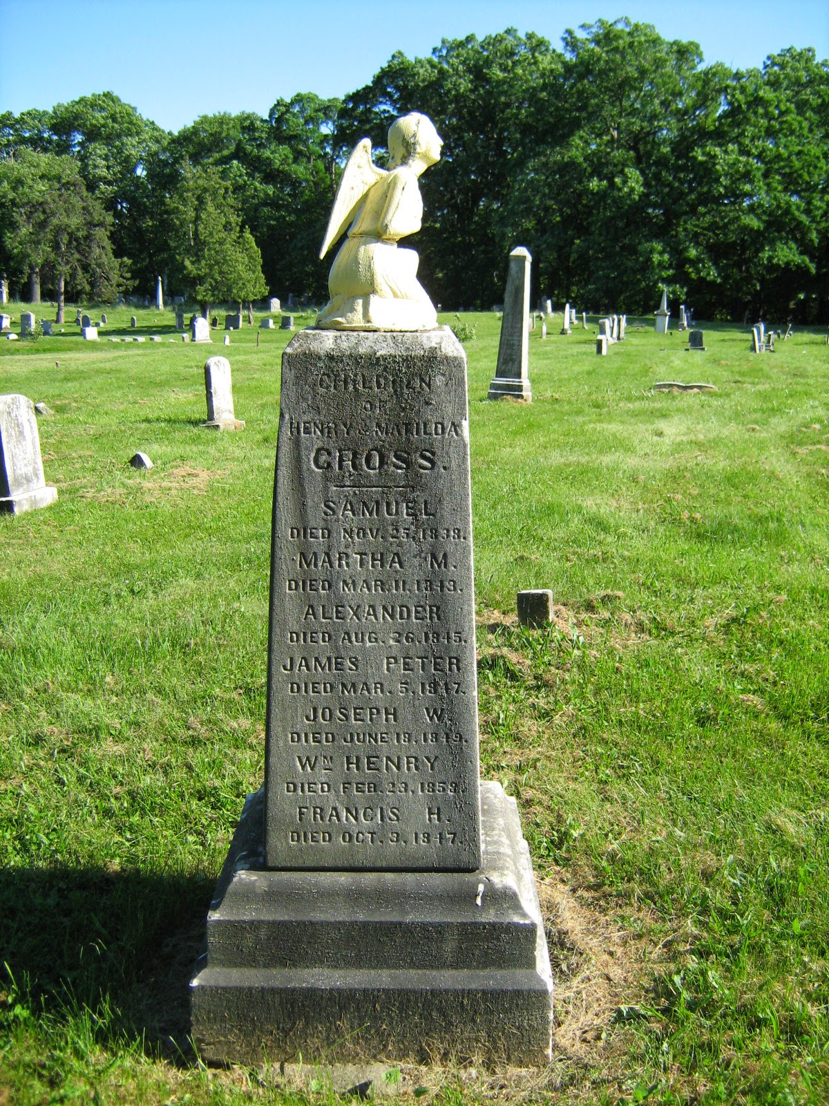 Albany Rural Cemetery - Beyond The Graves: The Children of Henry ...