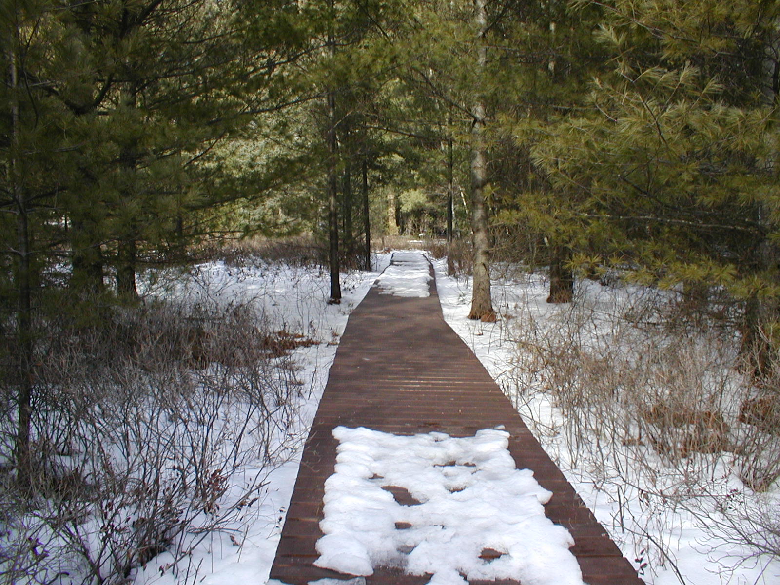 Onestep Outdoors!: Garcelon Bog Conservation Area