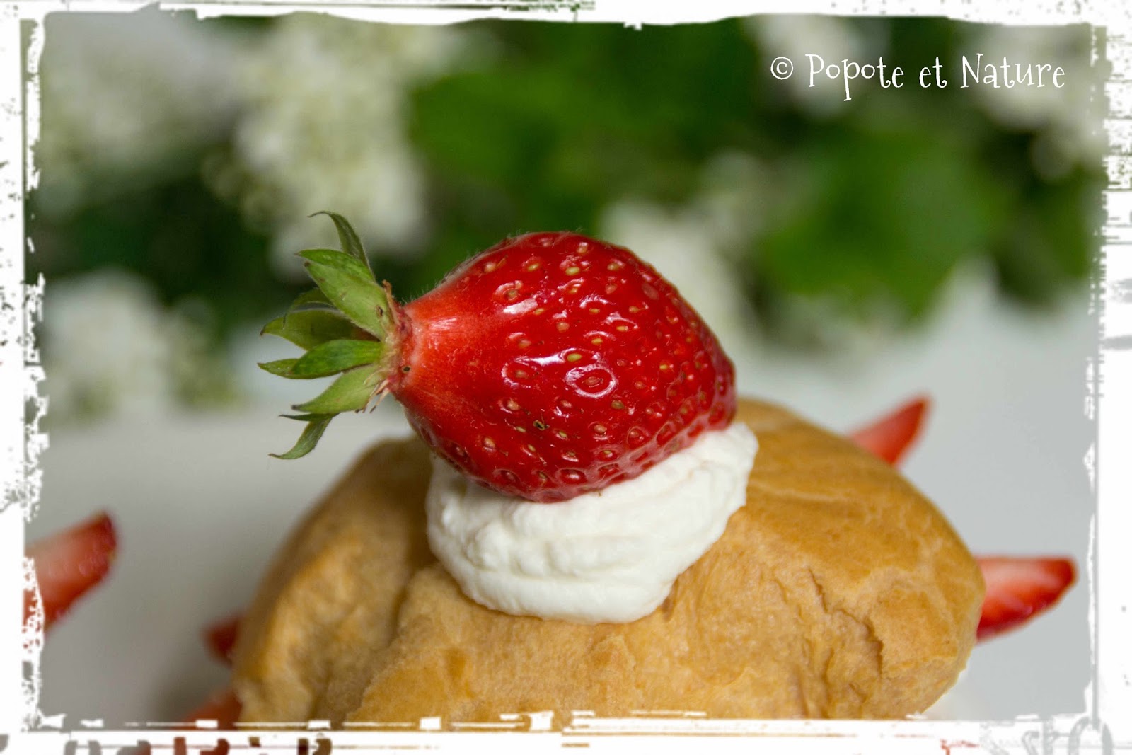 Popote et Nature: Des choux aux fruits frais avec une chantilly ...