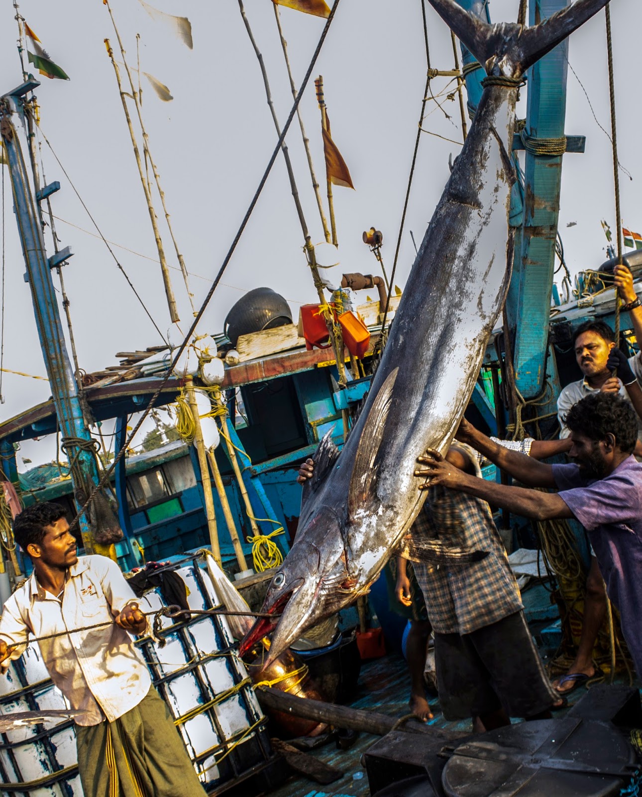 Photo Journalism: A day in Kasimedu Fish Market