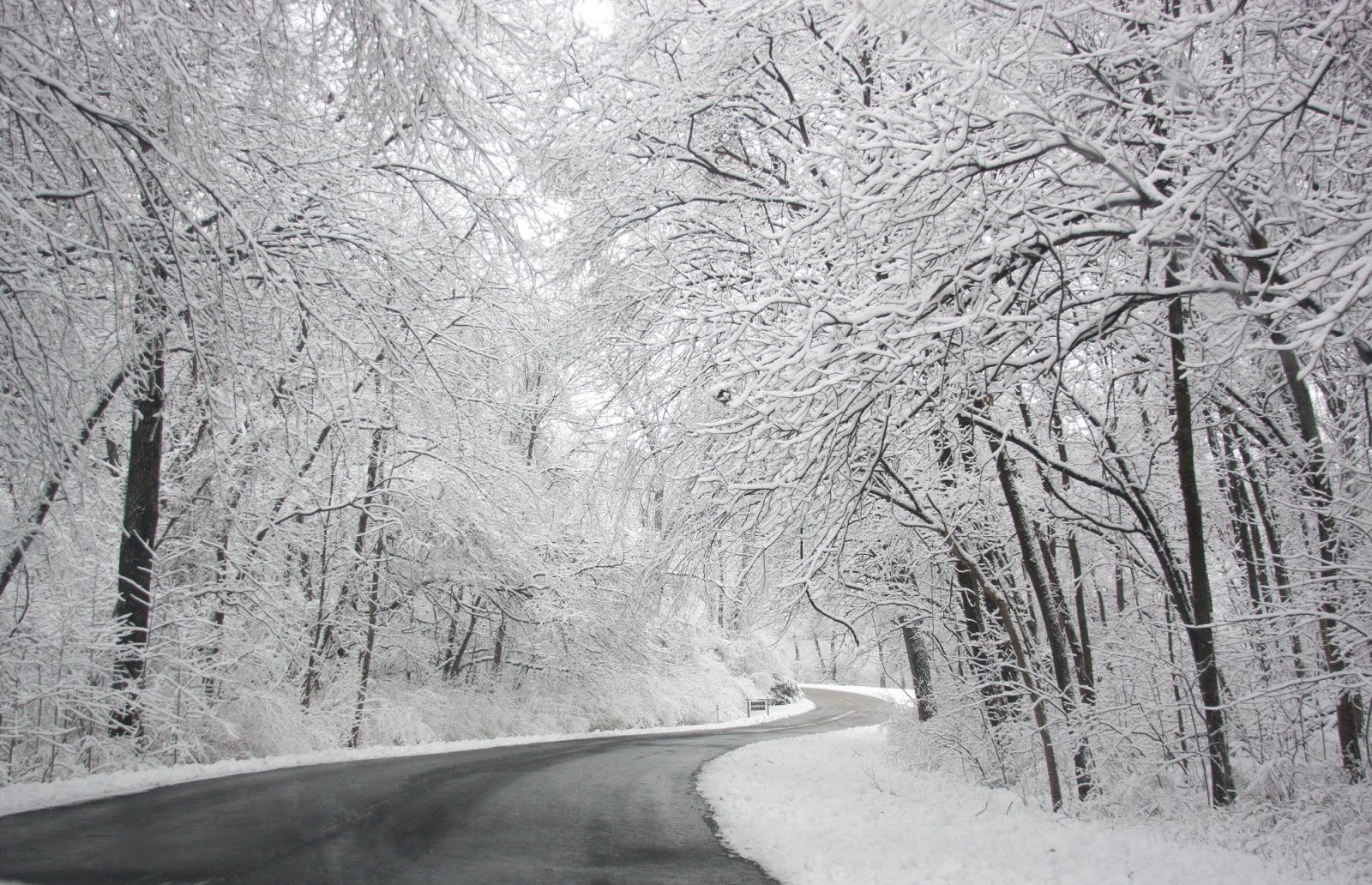Winter Vistas' - The Glorious Snow!