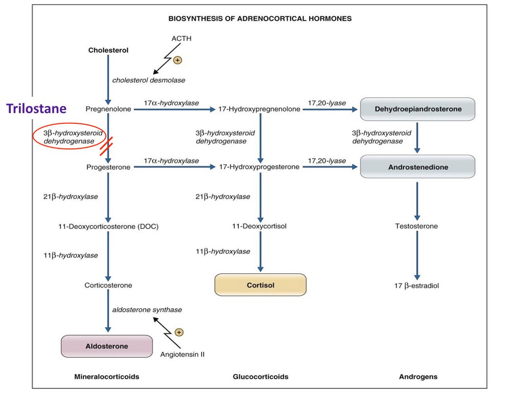 UCSI SOVP 2015/2016- Harvard Medical School- Brigham & Women's Hospital