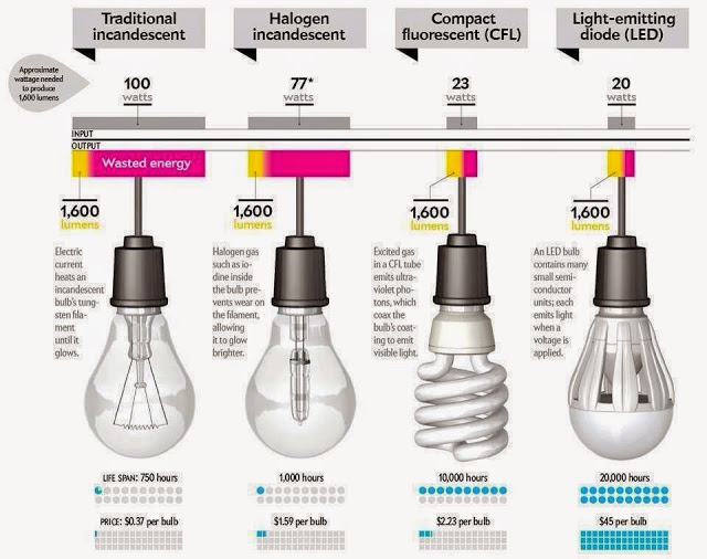 Evolution of Light Bulbs - Electrical Blog