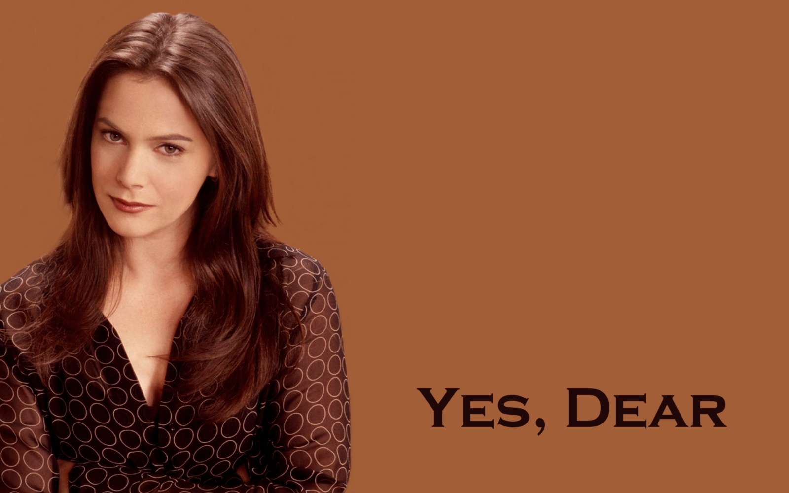 Filmovízia: Yes, Dear [2000-2006]