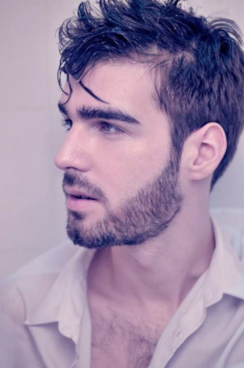 Blog Nosso Papo: Homens e suas barbas.