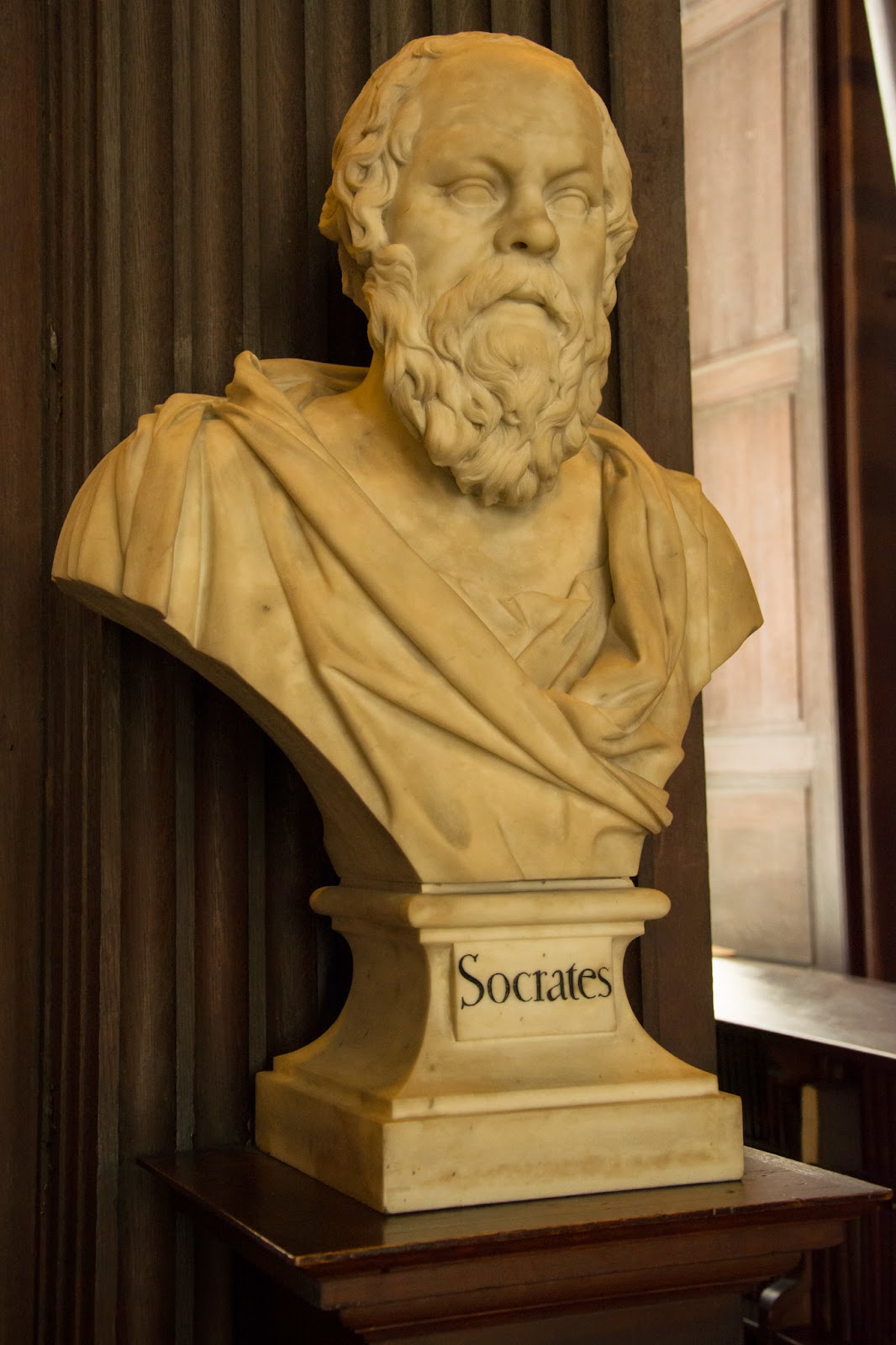 A Tree Falling: St. Patrick's Cathedral and Trinity College