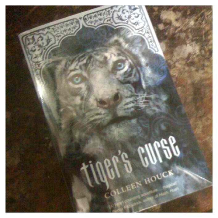 Novelissima: BOOK REVIEW: Tiger's Curse (The Tiger Saga #1) by Colleen ...