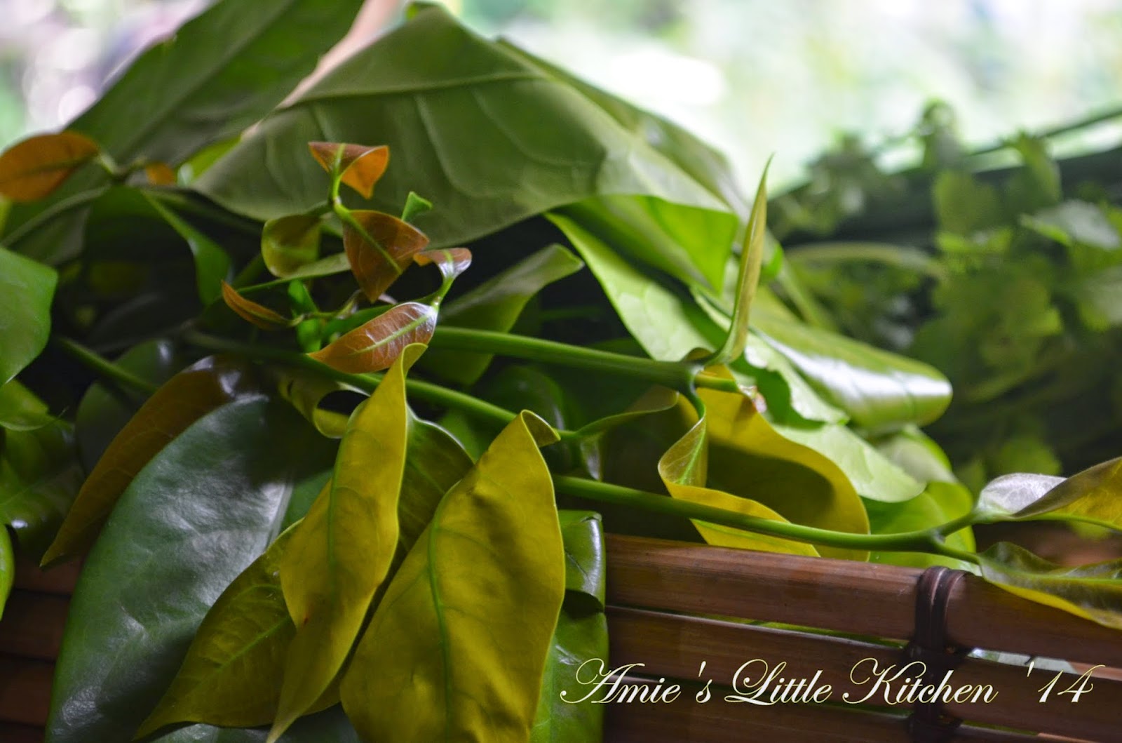 Godong So (Daun Melinjo) Masak Lemak Putih - Amie's Little Kitchen