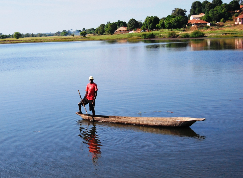 Luís Graça & Camaradas da Guiné: 01/05/11 - 08/05/11