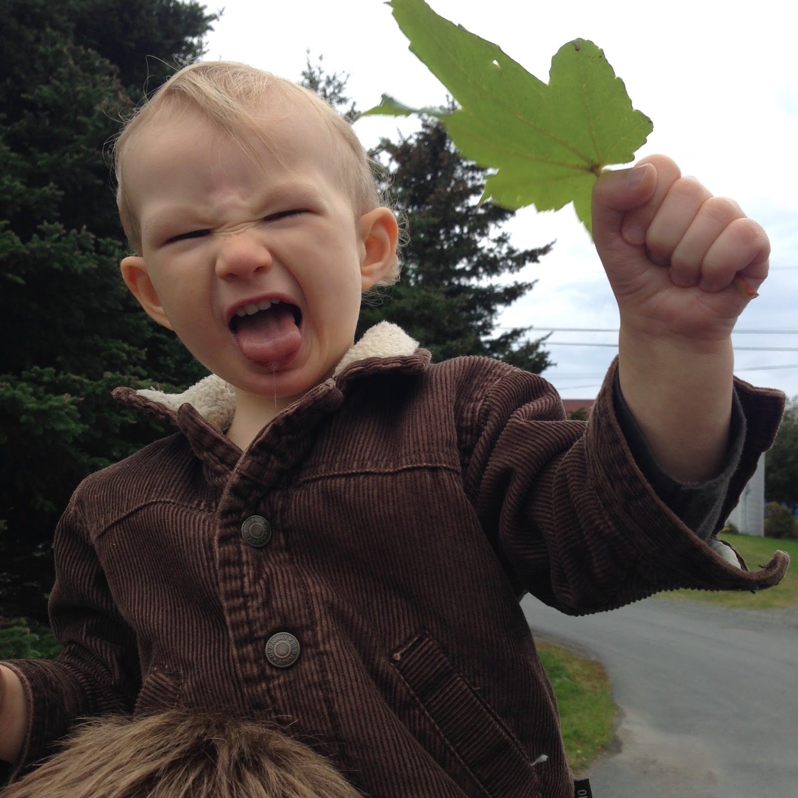 Special Needs Spotlight || Eli » This Little Miggy