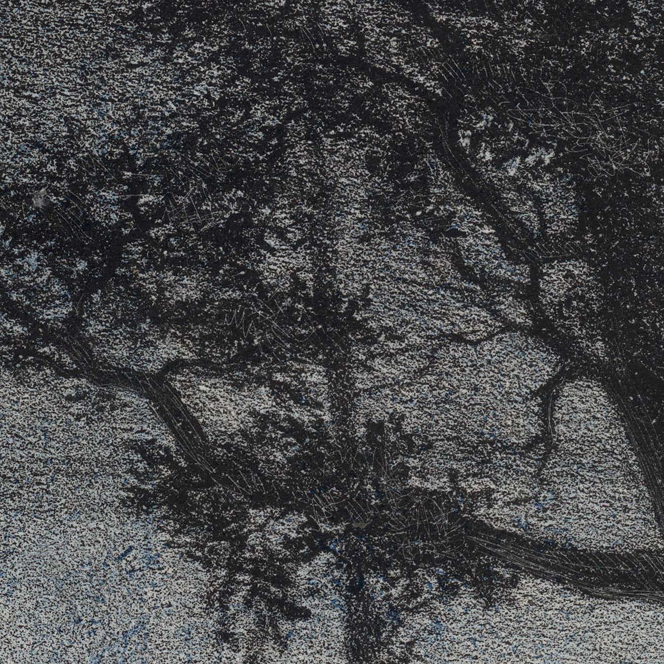 Prints and Principles: Charles Émile Jacque’s lithograph, “Crépuscule ...