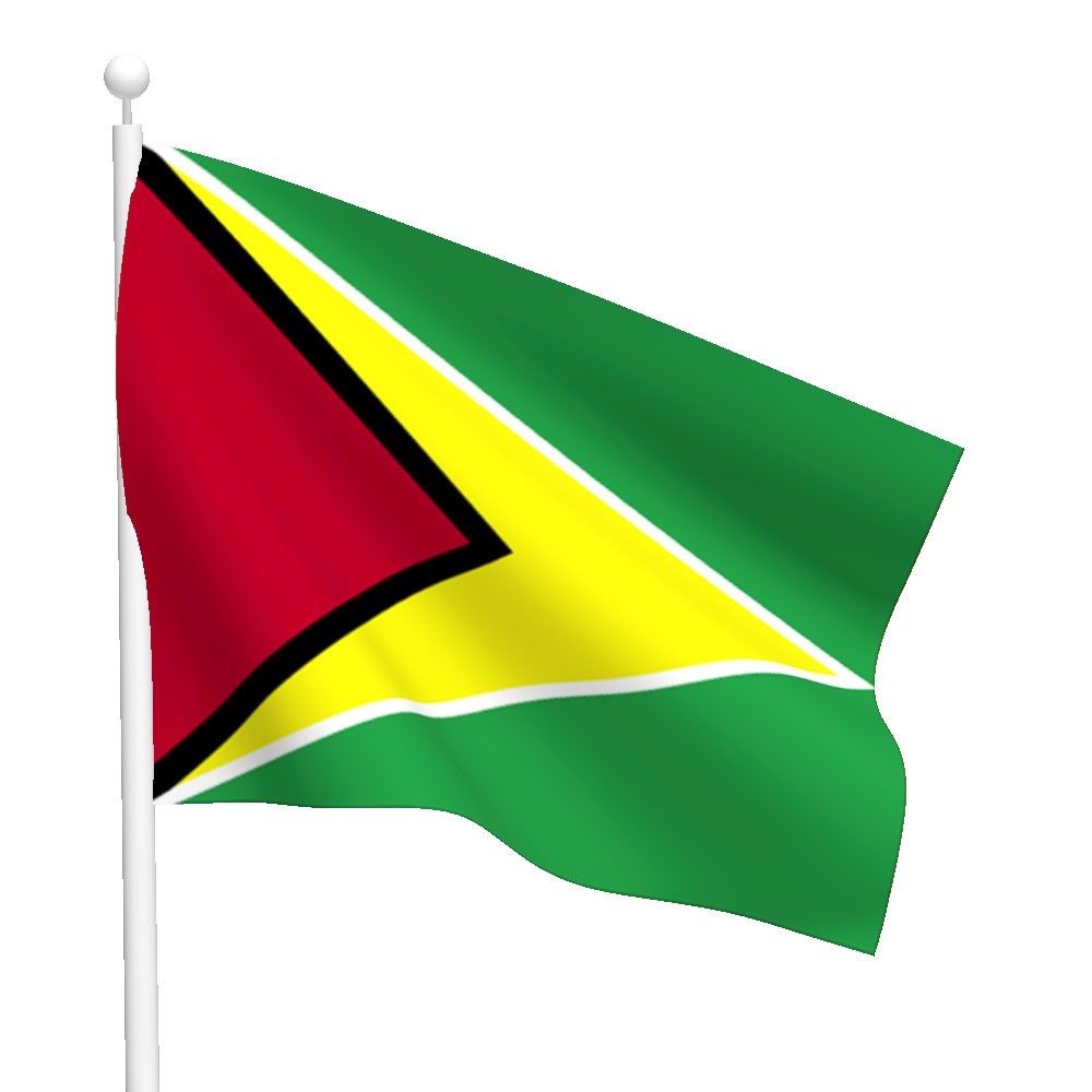Graafix!: Flag of Guyana
