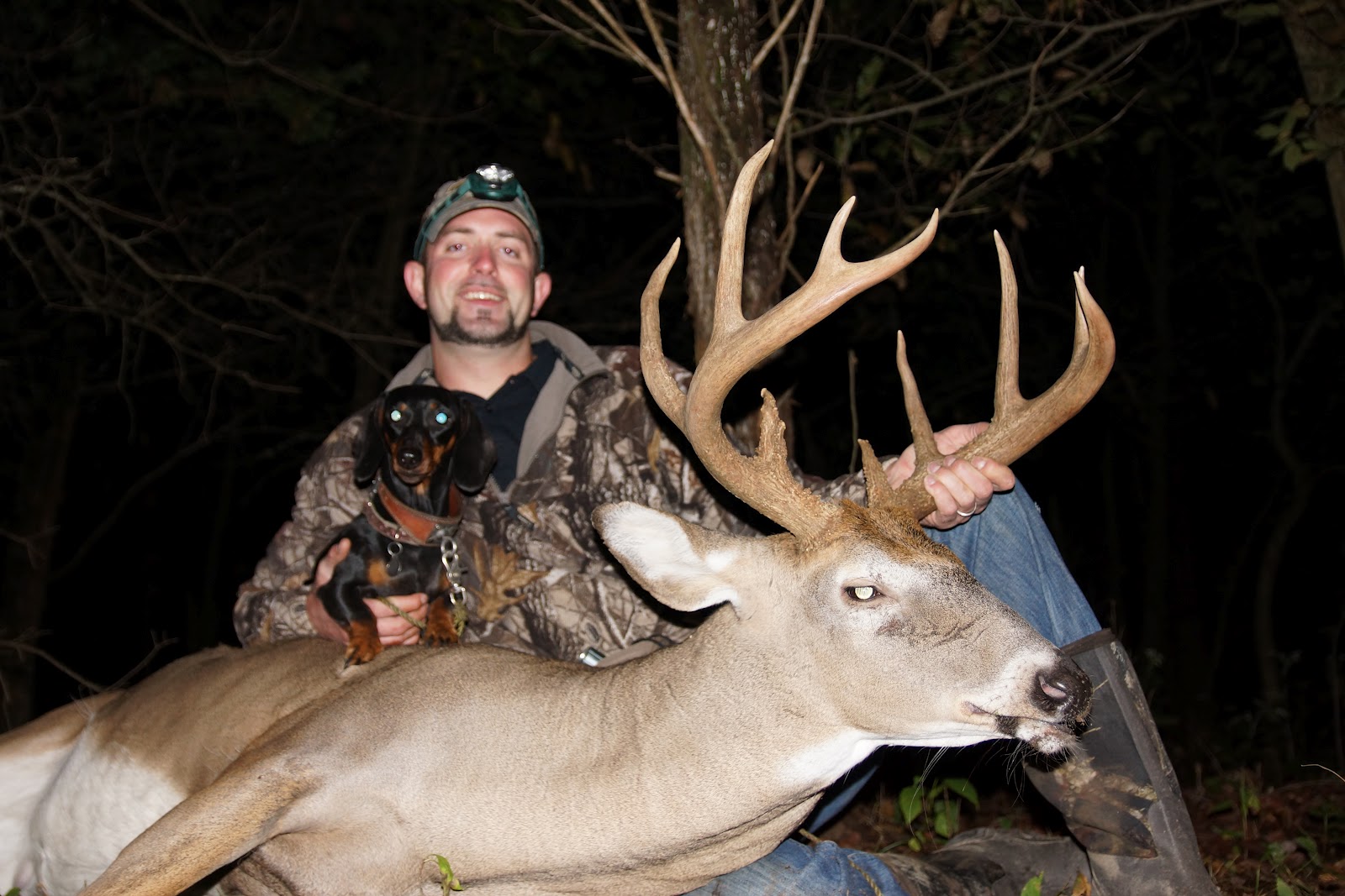 Ohio Blood Tracking Dogs: Ohio Deer Blood Tracking