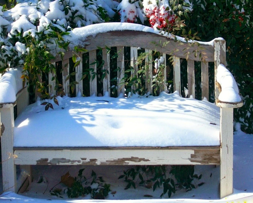 P O T A G E R: A Bench For All Seasons