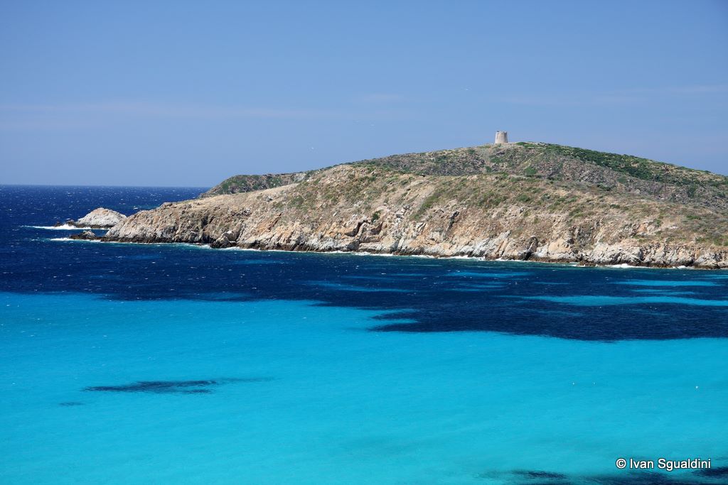 City: La beffa del pastore sardo (Sardinian shepherd revenge)