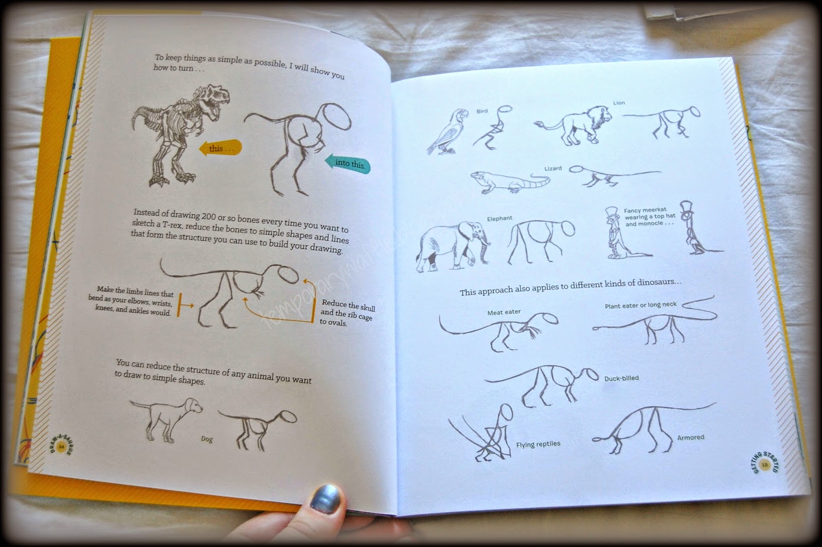 Temporary Waffle: Draw-A-Saurus - Book Review