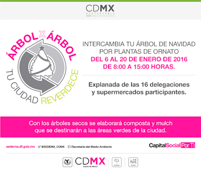 Árbol por Árbol, tu ciudad reverdece 2016 - Mundo Feliz