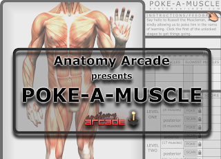 EDUCANT FÍSICAMENT: Poke a muscle