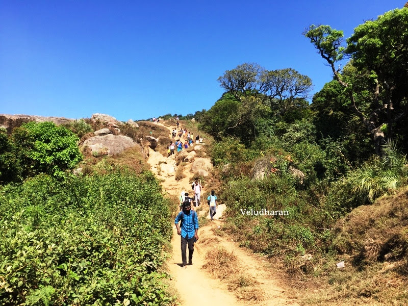 A Wandering Heritager: VELLIANGIRI ANDAVAR TEMPLE, ( “THEN KAILAYAM ...