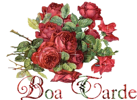 Boa Tarde - Cia dos Gifs