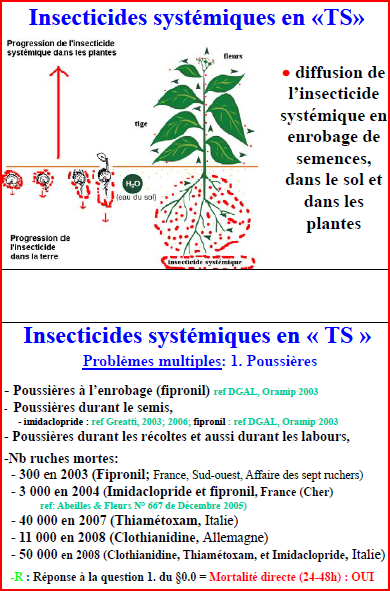 Dans l'ère du temps: 2011