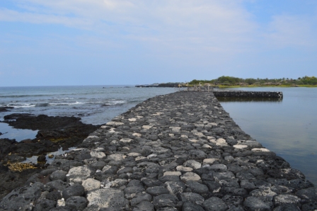 Hilo Living Blog: An amazing National park in North Kona