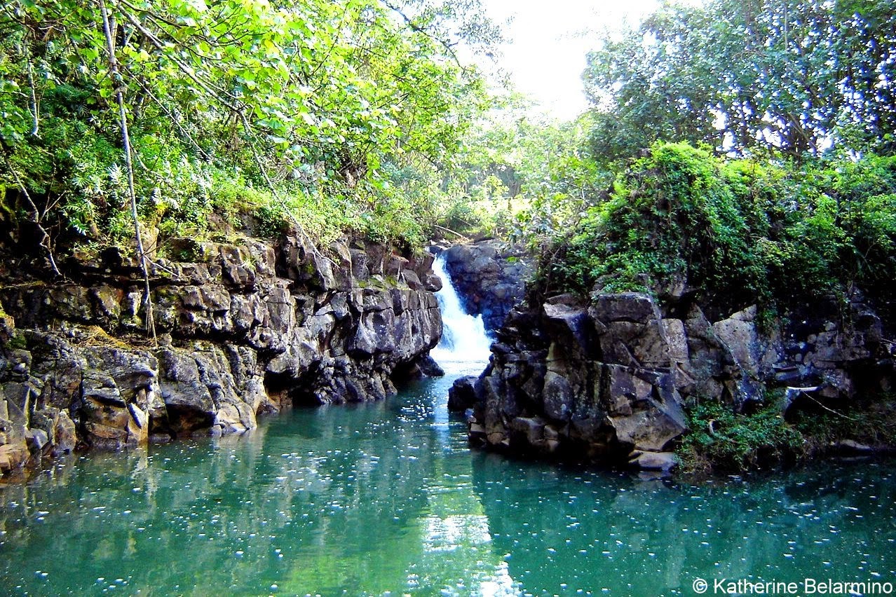 Hoopii Falls: A Hawaiian Paradise | Paraiso Island