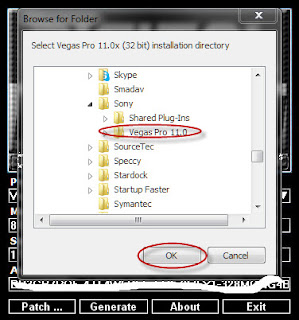 Sony vegas pro serial number 14 - grossservices