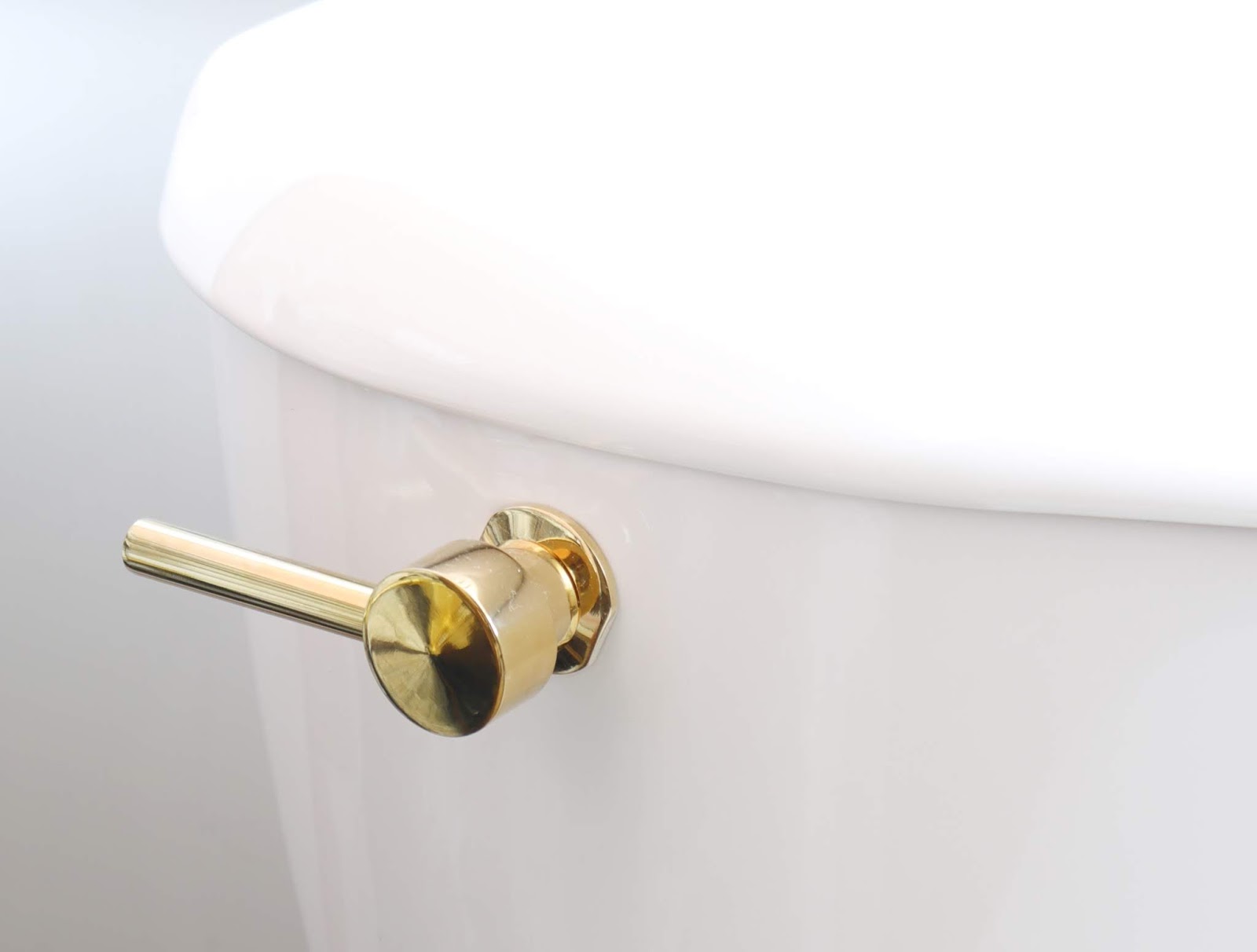 How to Replace a Toilet Flush Handle - Made by Carli
