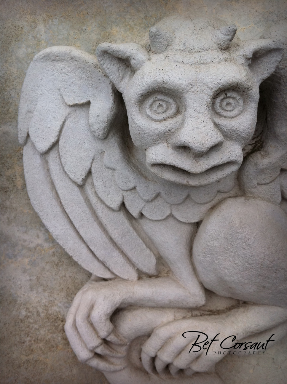 SNAPSHOTS: My Gargoyle