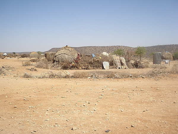 birding never sleeps: ETHIOPIA 20 February 2011: Ngele to Bogol Manyo