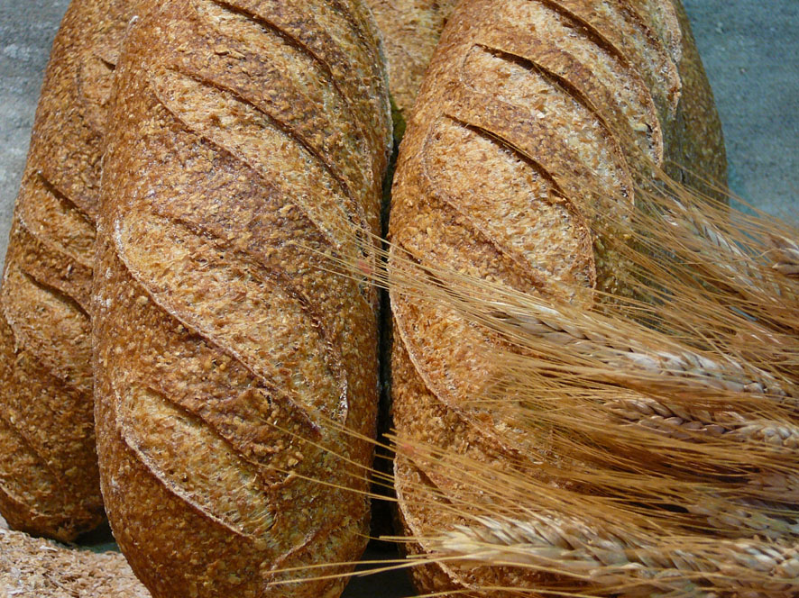 Recette Pain complet ~ Apprendre des recettes de cuisine et de pain