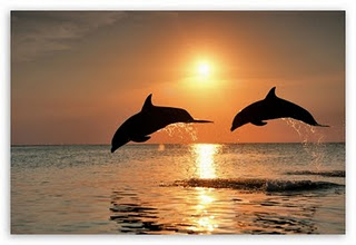 funny sunset photography images. ~ Funny Picture