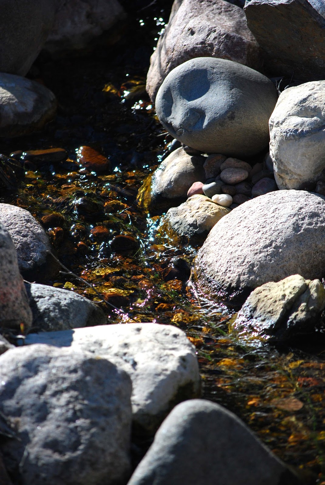 CJO Photo: Rocks - Page 1