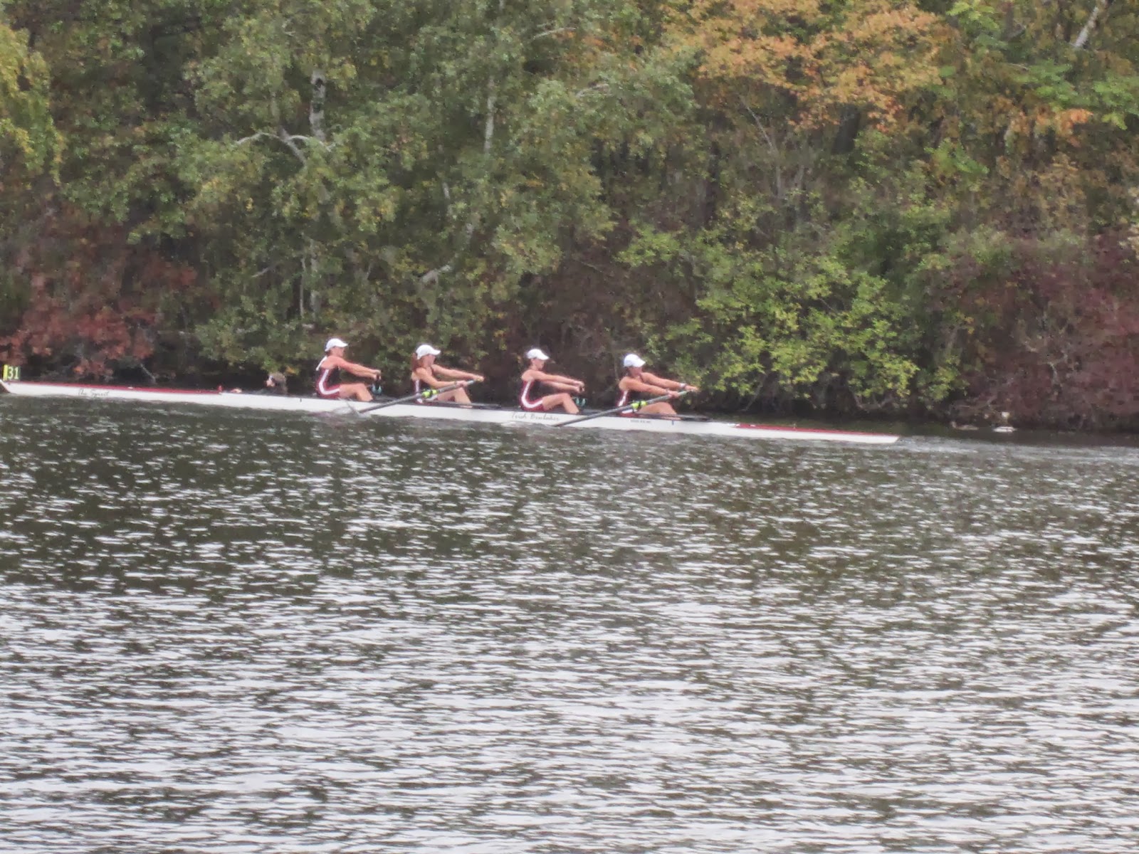 RENeW: Head of the Charles Regatta -- The Largest Regatta in the World