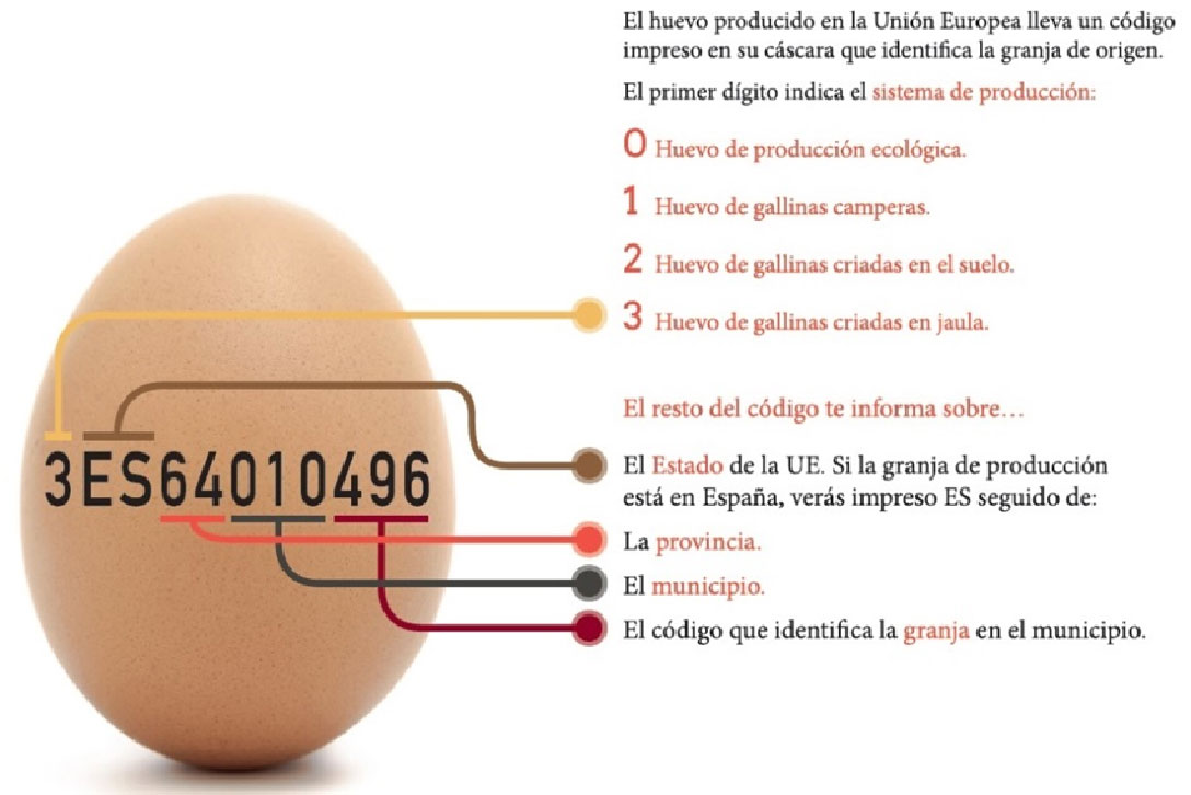 PLUSFERP: LOS HUEVOS Y SUS CÓDIGOS: TRUCOS, CONSEJOS Y CURIOSIDADES.
