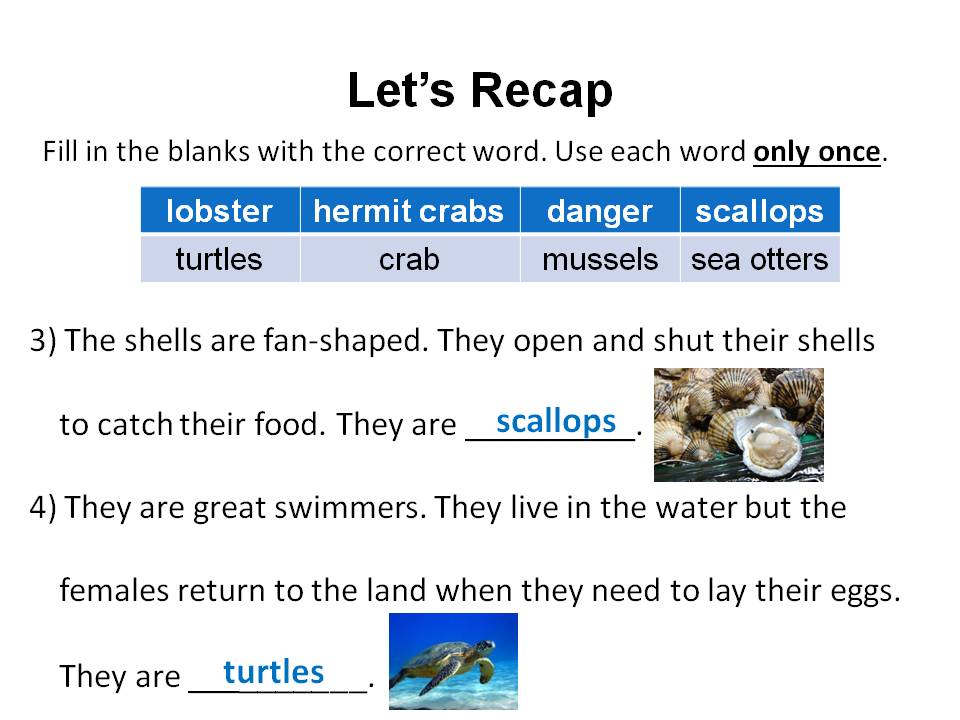 P2A Class Blog: Life In A Shell Vocabulary Slides