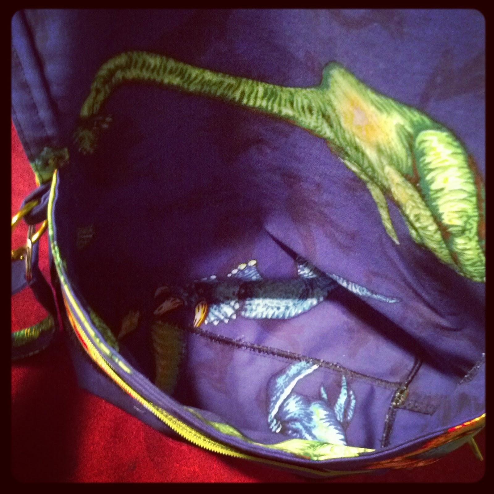 An Onion Exposed: Velcro Flap Mini Bag