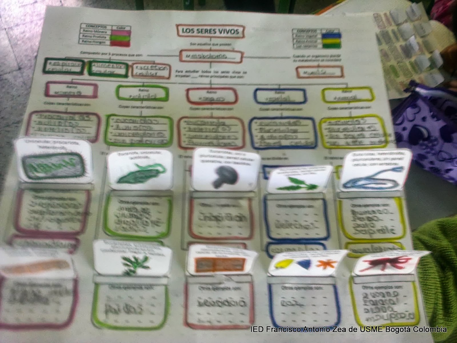 IDEAS PARA MI MUNDO: REINOS Y CLASIFICACIÓN