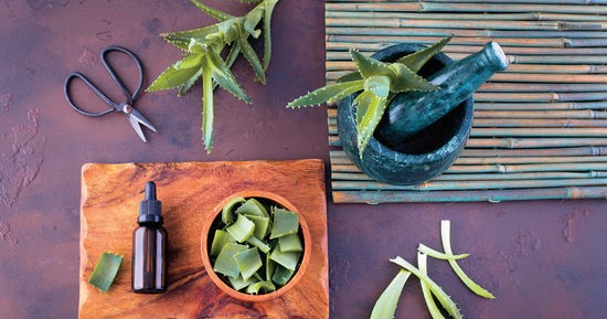 Beste Mutlu - Bilimin B'si